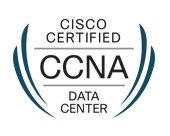 About US - AMSYS Innovative IT Service and Solution, Houston