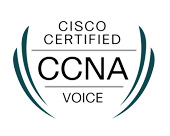 About US - AMSYS Innovative IT Service and Solution, Houston