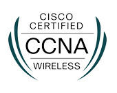 About US - AMSYS Innovative IT Service and Solution, Houston