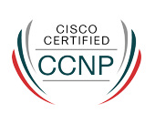 About US - AMSYS Innovative IT Service and Solution, Houston