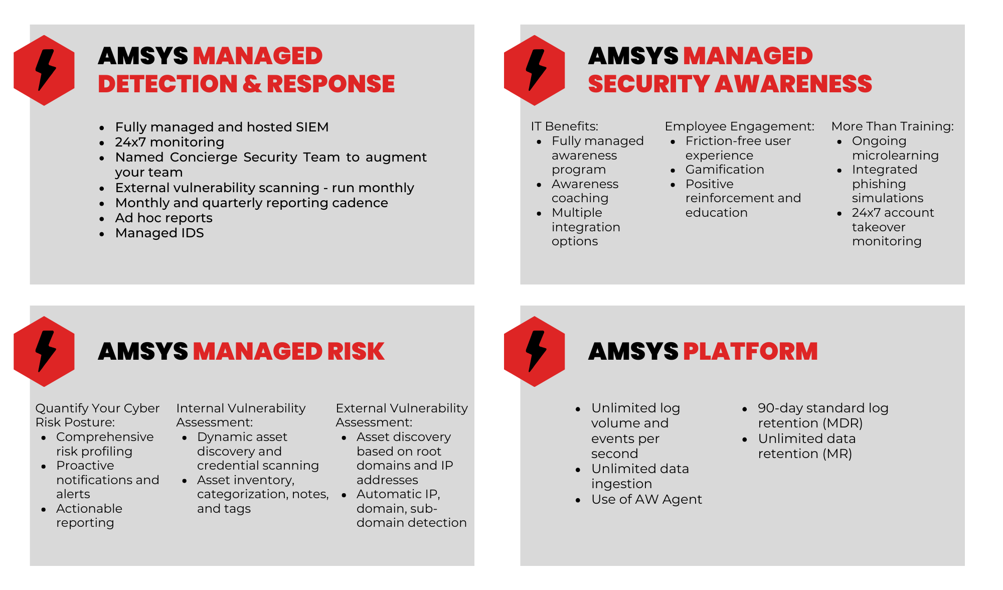 Cyber Security Assessment Services by AMSYSIS